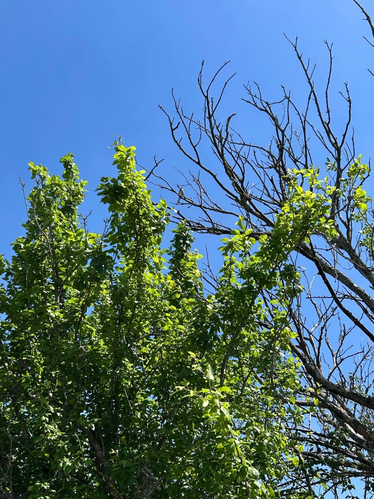 Photo Portfolio – John Liter